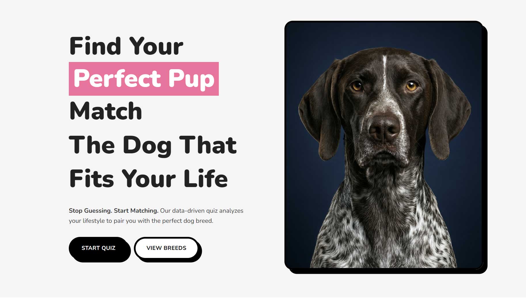 Perfect Pup Match — Find the Dog That Fits Your Life